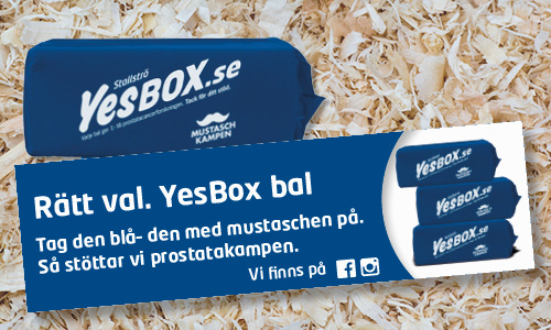 YesBox - Annonsmaterial och bilder